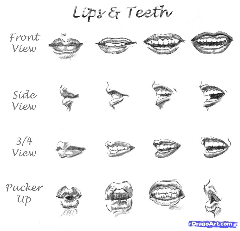 How To Draw A Nose And Lips Trusper How To Draw A Nose And Lips Trusper