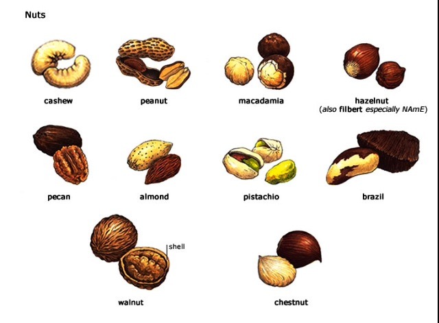 Different Types Of Nuts | Trusper