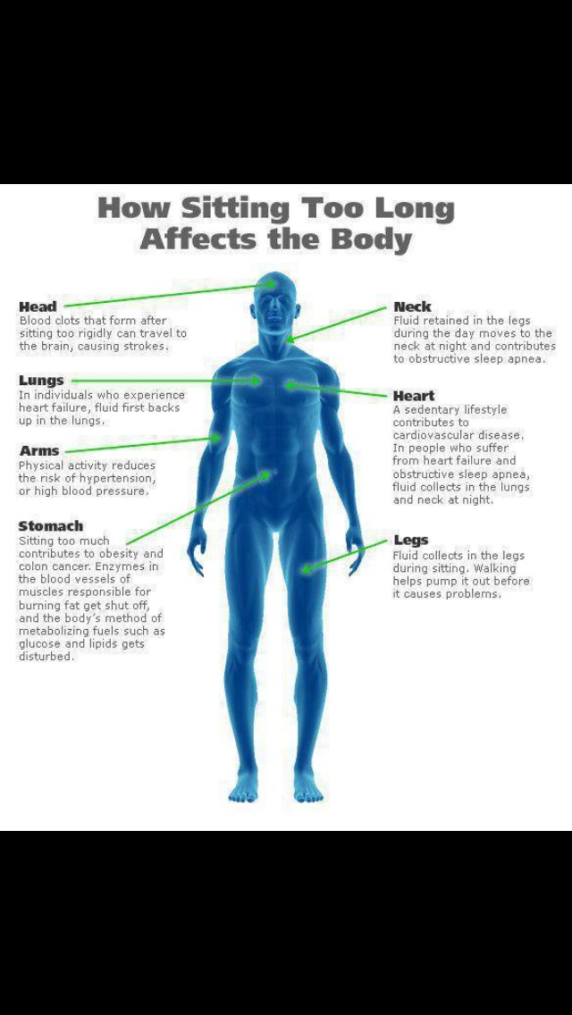 What Sitting Does To Our Body | Trusper