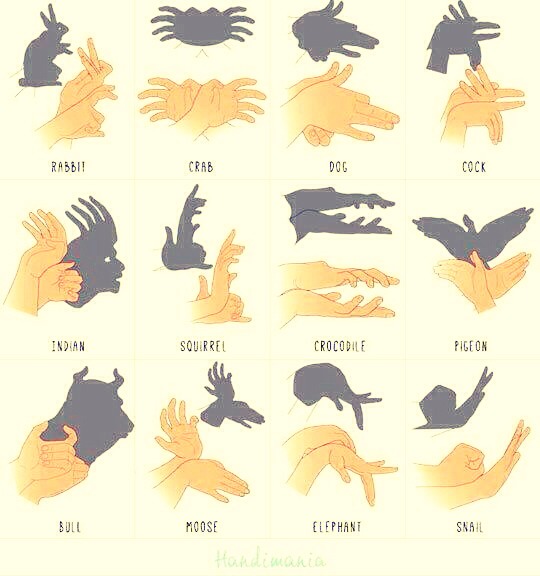 How To Do Different Animal Hand Shadows