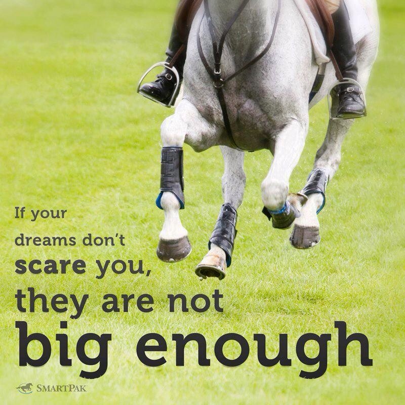 Horsey Sayings That Will Make You Smile! | Trusper
